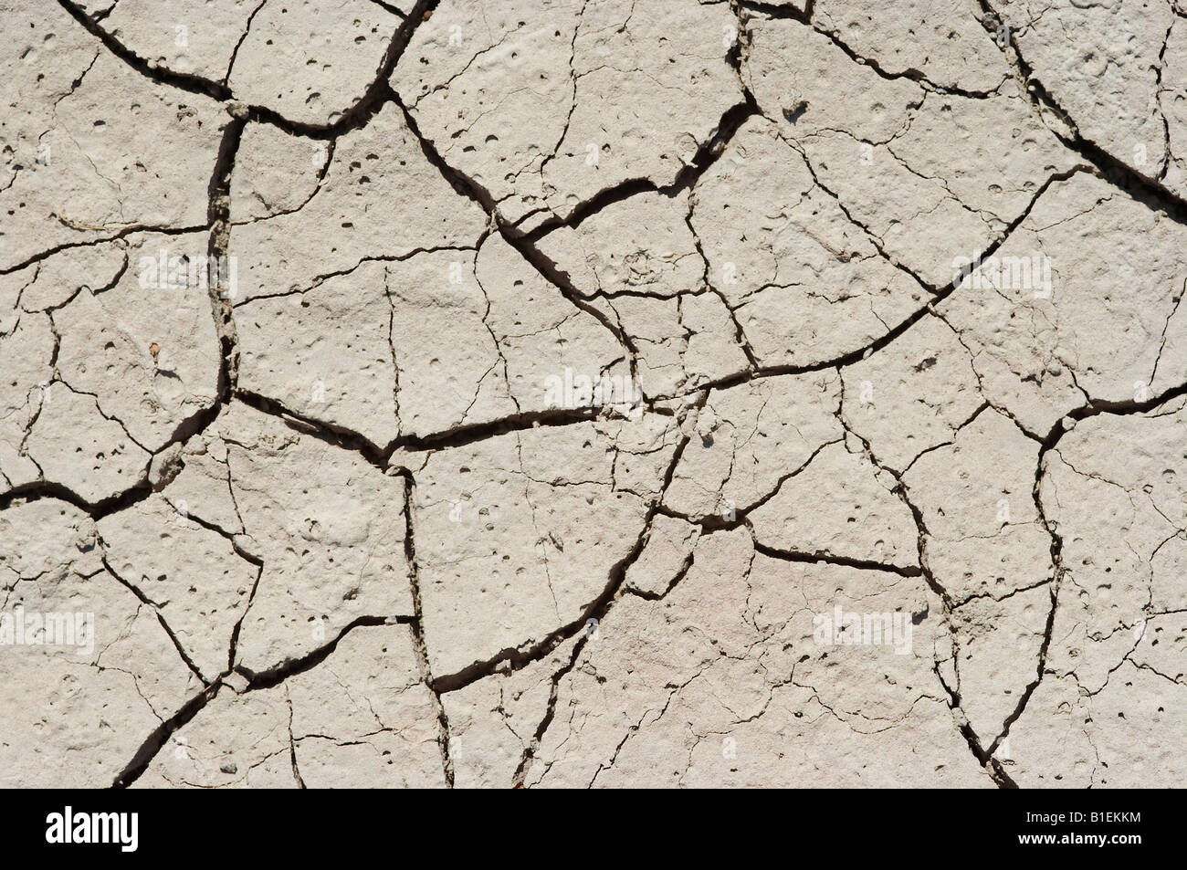 Dry parched hi-res stock photography and images - Alamy