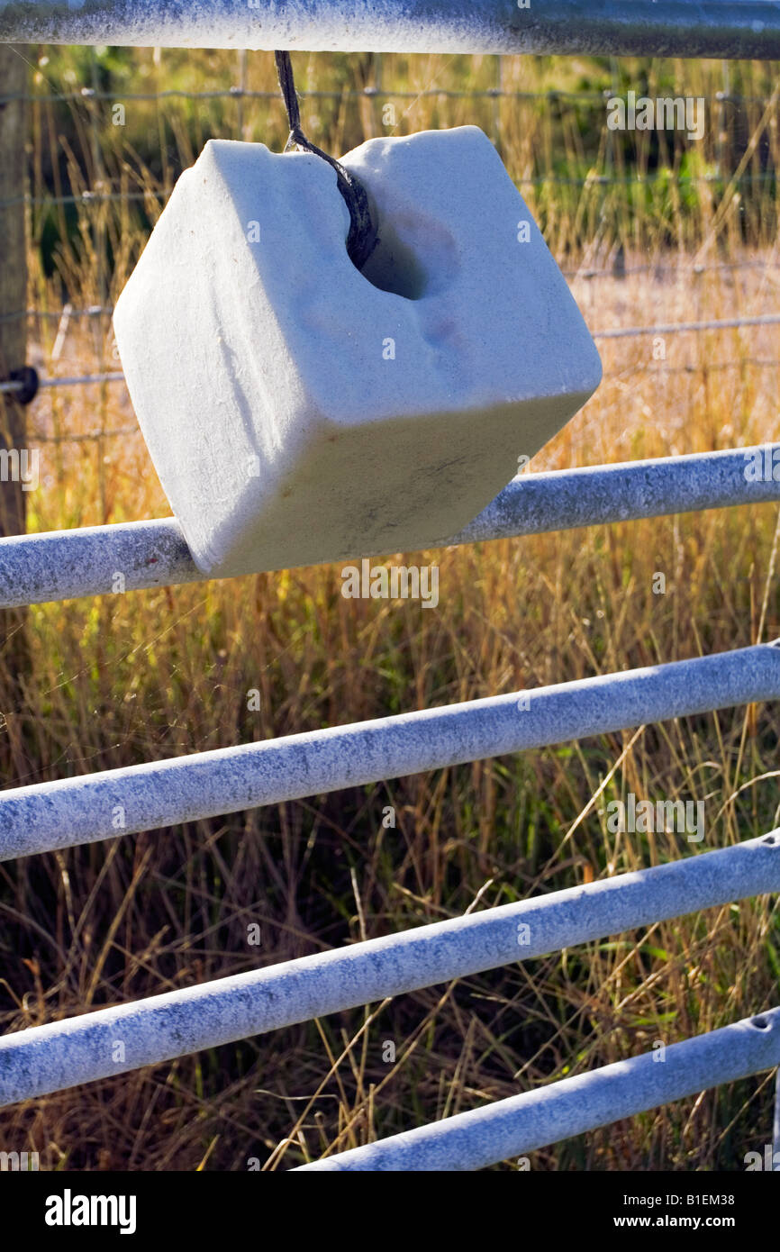 Salt lick hi-res stock photography and images - Alamy