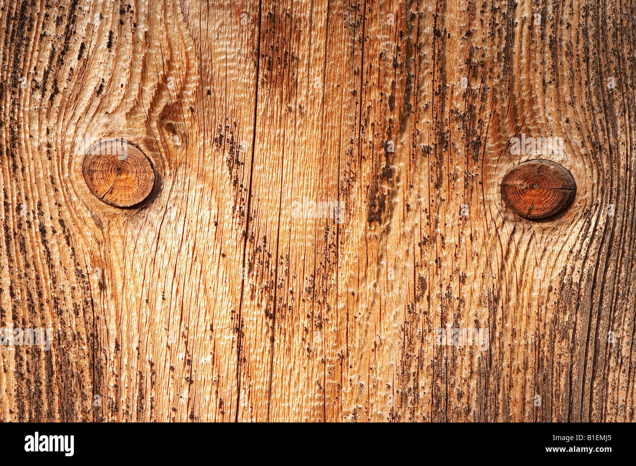 wood texture with nobs Stock Photo - Alamy