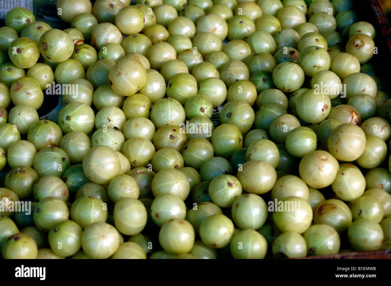 Nellikka hi-res stock photography and images - Alamy