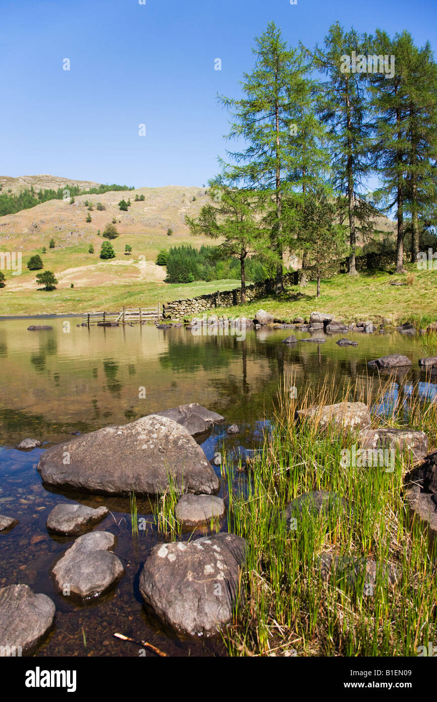 Little langdale tarn reflections hi-res stock photography and images ...