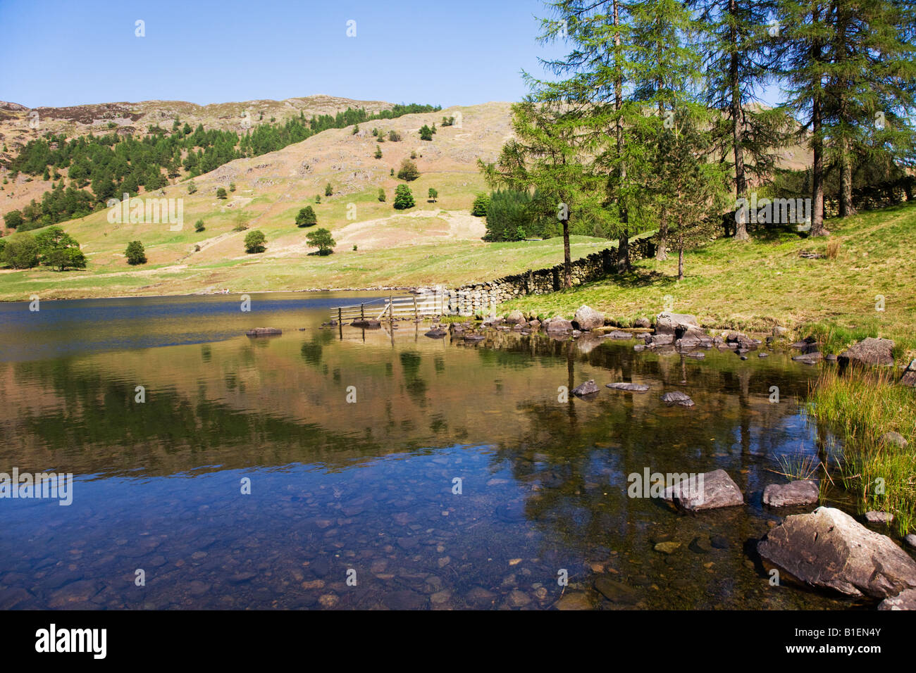 Little langdale tarn reflections hi-res stock photography and images ...