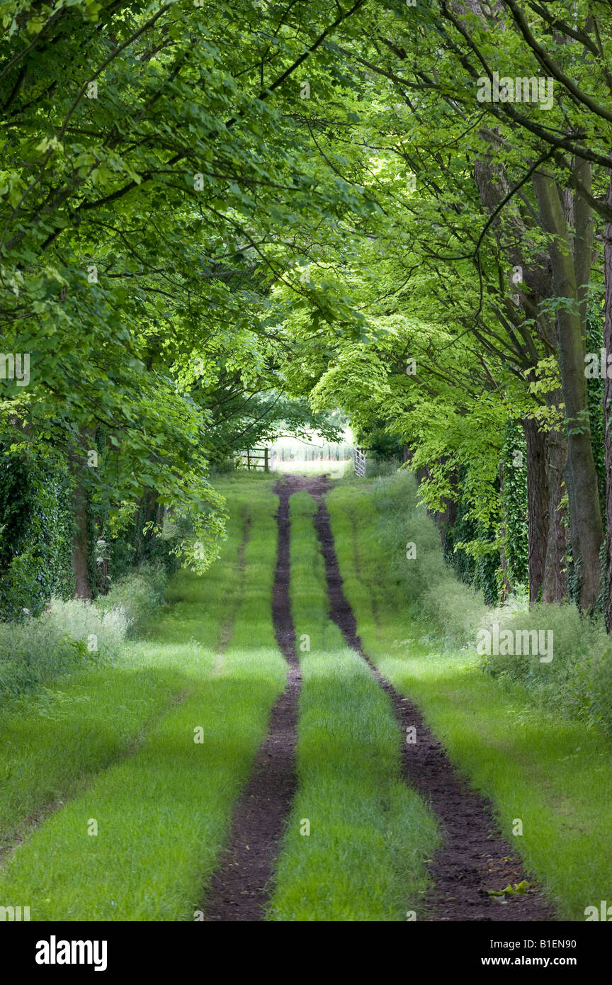 Bridal path hi-res stock photography and images - Alamy