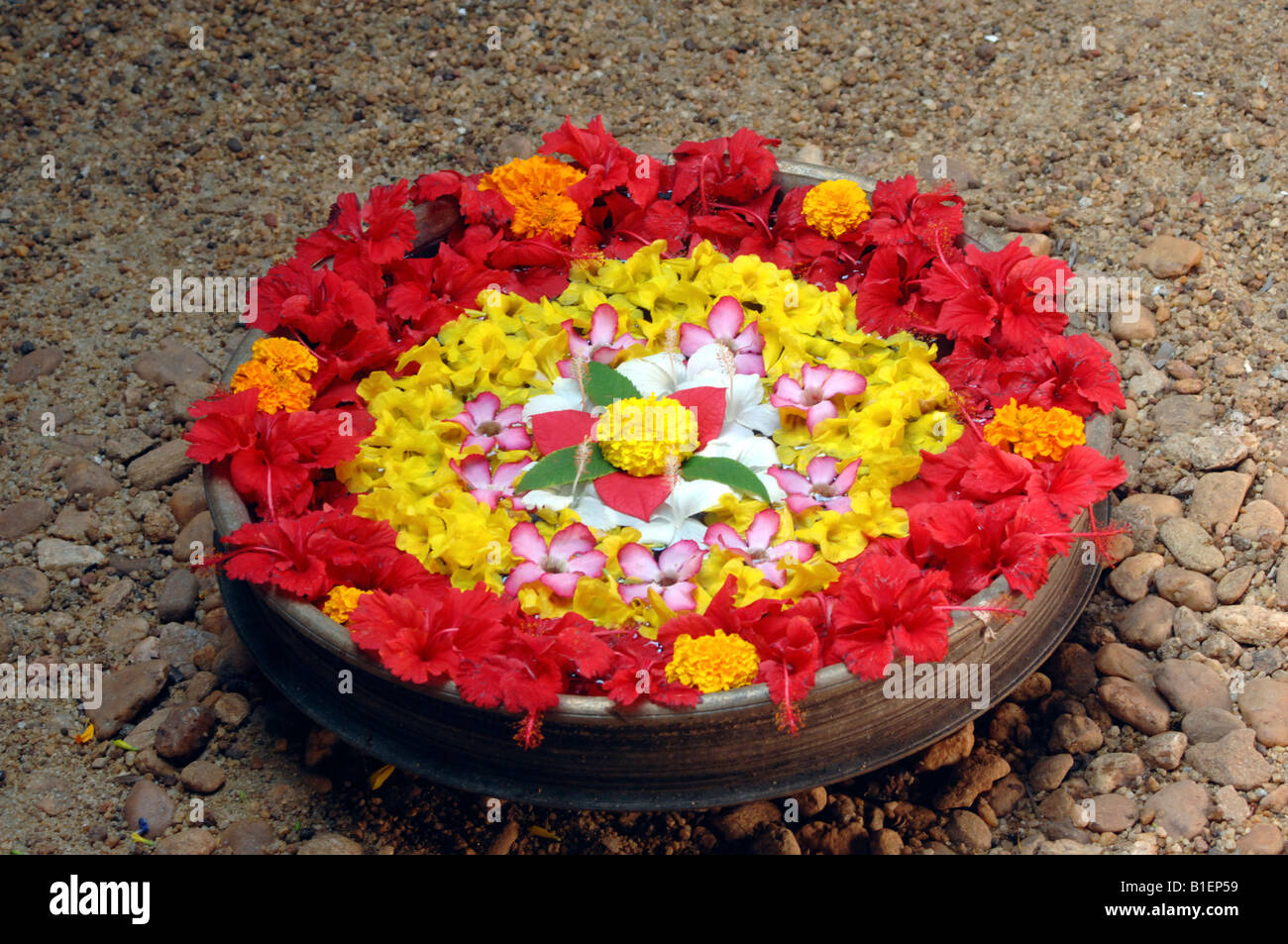 Leen flower hi-res stock photography and images - Alamy