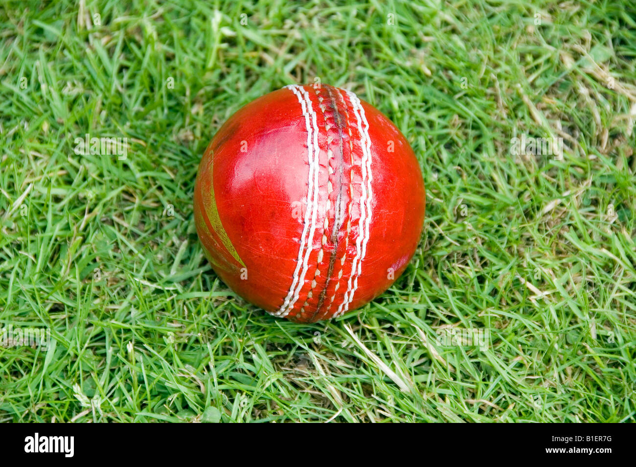 Cricket Ball on grass Stock Photo - Alamy