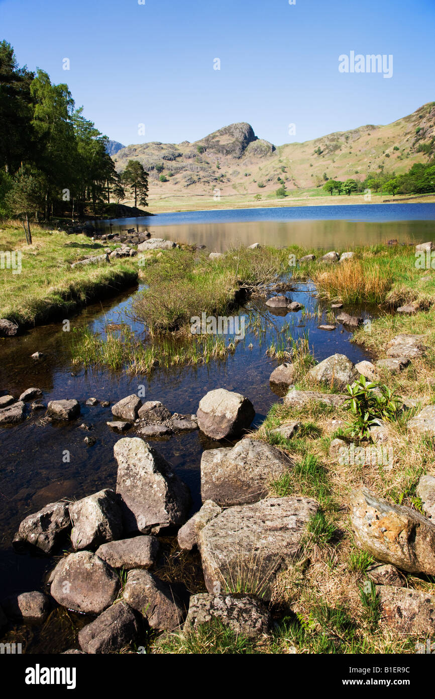 Blea Tarn In Springtime Small Stream Or Beck On The Shoreline Flowing ...
