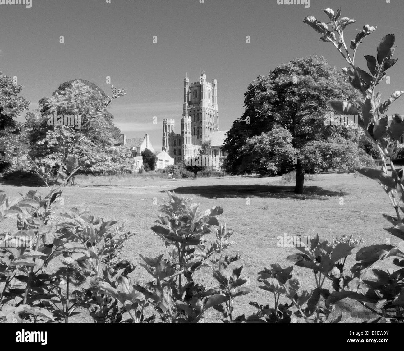 Cathedral church ely Black and White Stock Photos & Images - Alamy