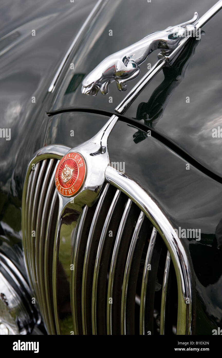 Mk II Jaguar Mascot Badge Stock Photo - Alamy