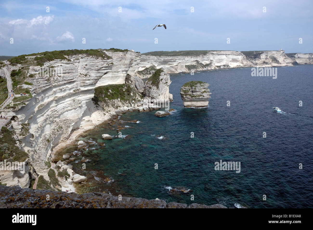Limestone cliffs at Bonifacio, Corsica, France Stock Photo - Alamy