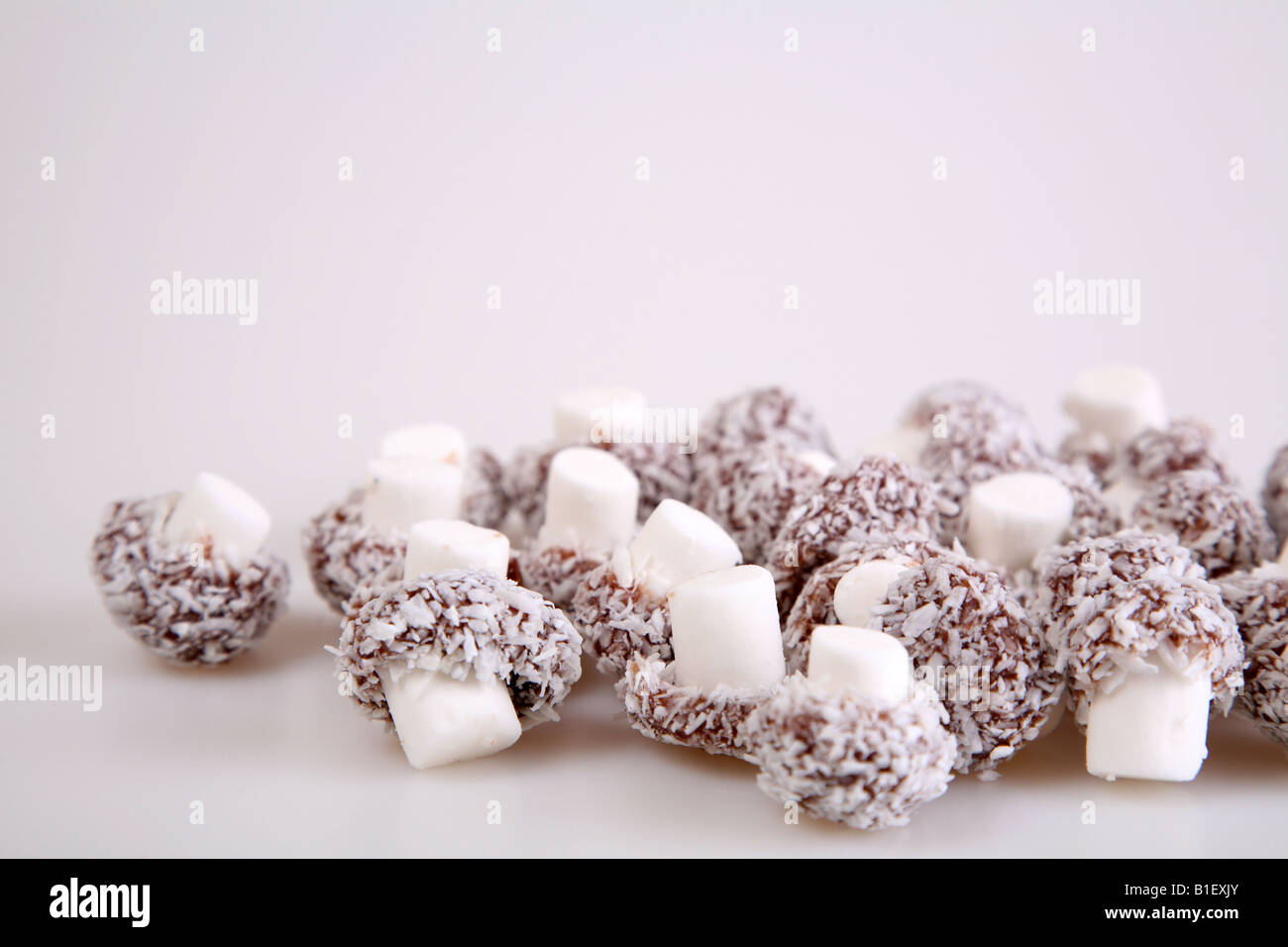 Cocnut mushrooms hi-res stock photography and images - Alamy