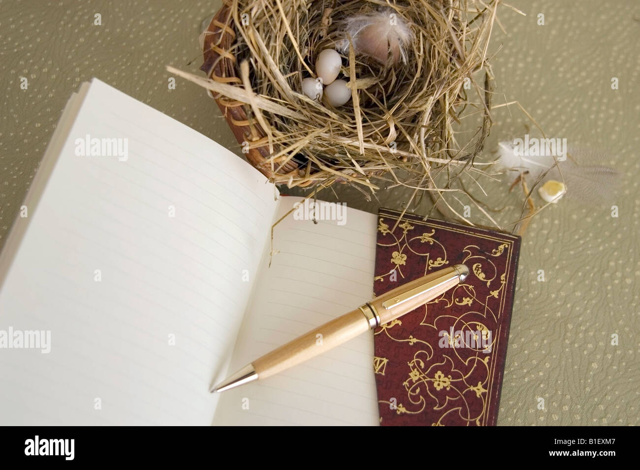 Still life birds hi-res stock photography and images - Alamy