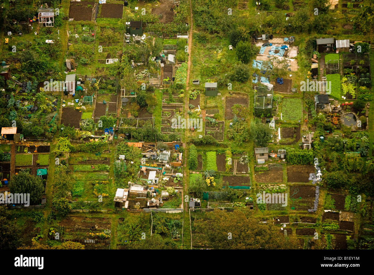 Aerial community vegetable garden hi-res stock photography and images ...