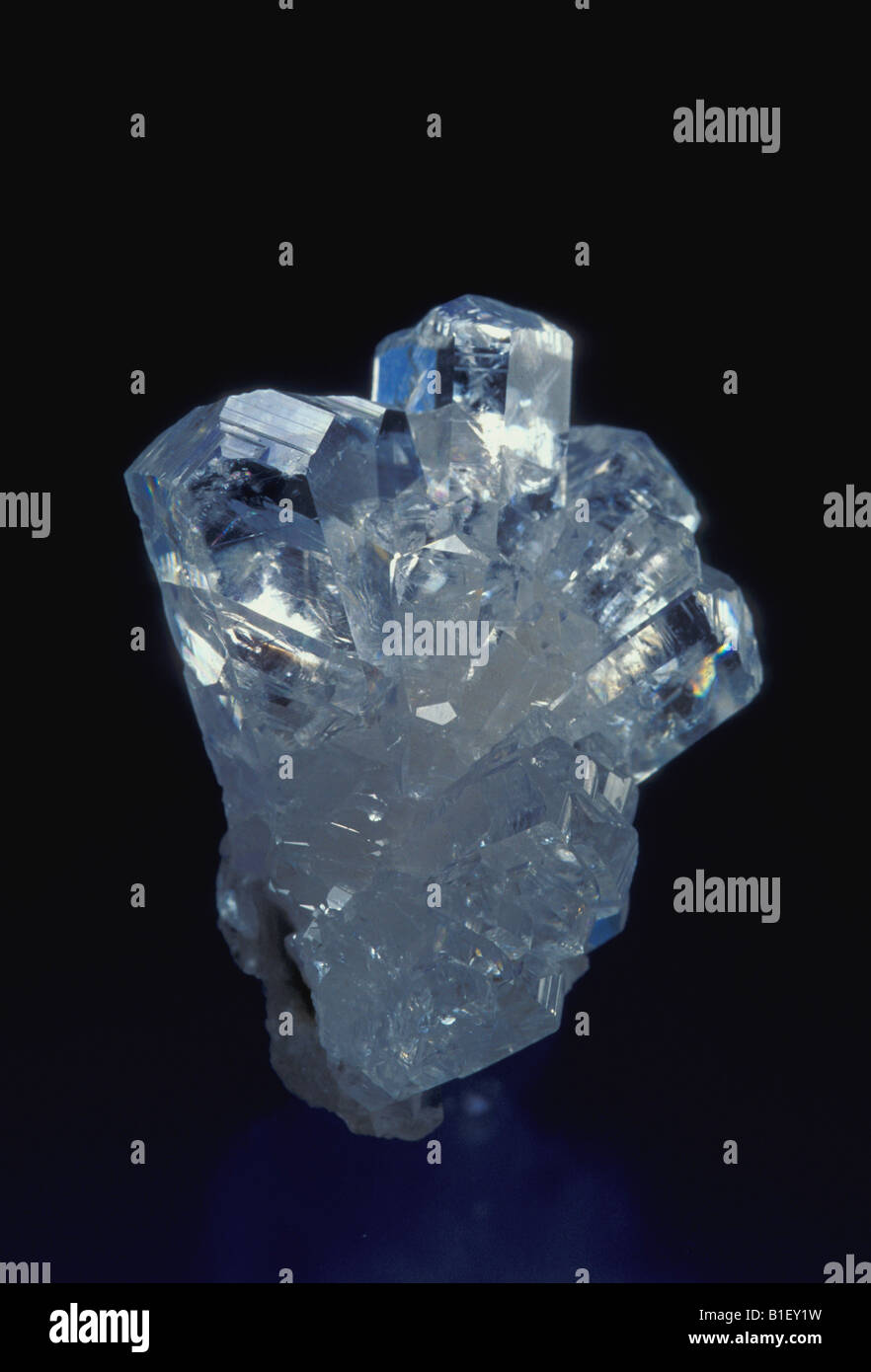Birefringence hi-res stock photography and images - Alamy