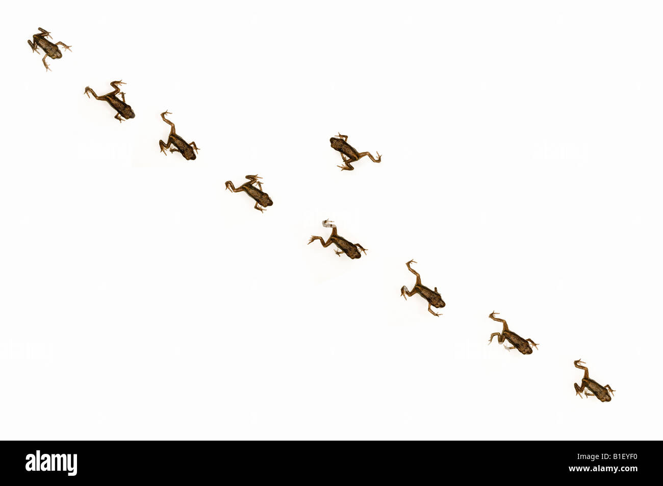 Opposite direction Cut Out Stock Images & Pictures - Alamy