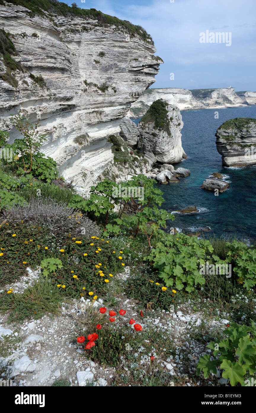 Limestone cliffs at Bonifacio, Corsica, France Stock Photo - Alamy