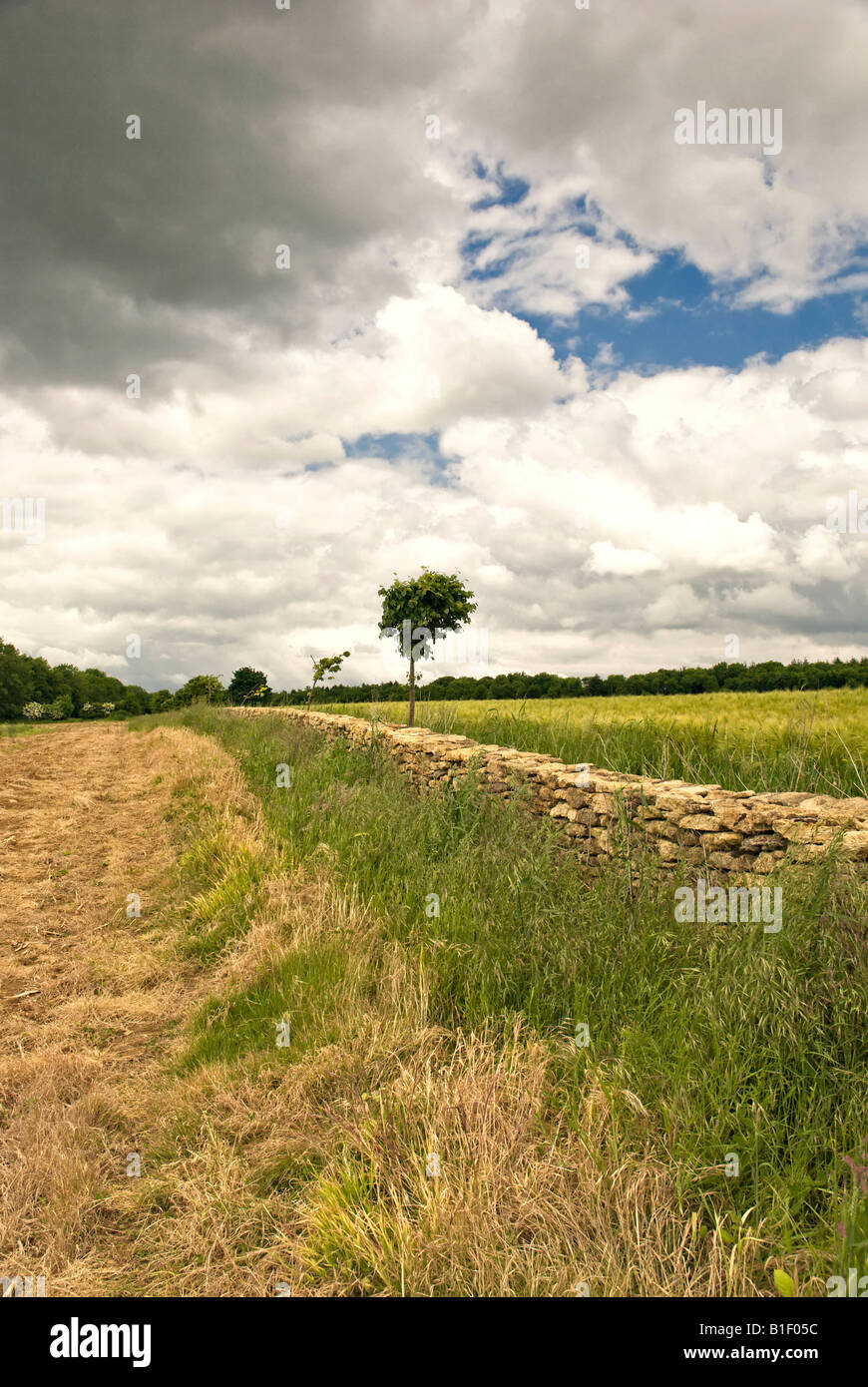 Traditional Mendip Dry Stone Wall Stock Photo - Alamy