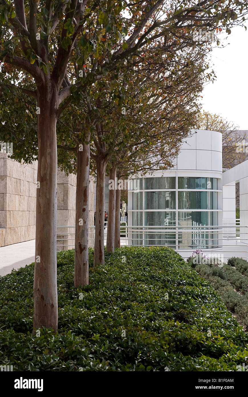 Trees and Getty Art Center Los Angles California Stock Photo - Alamy
