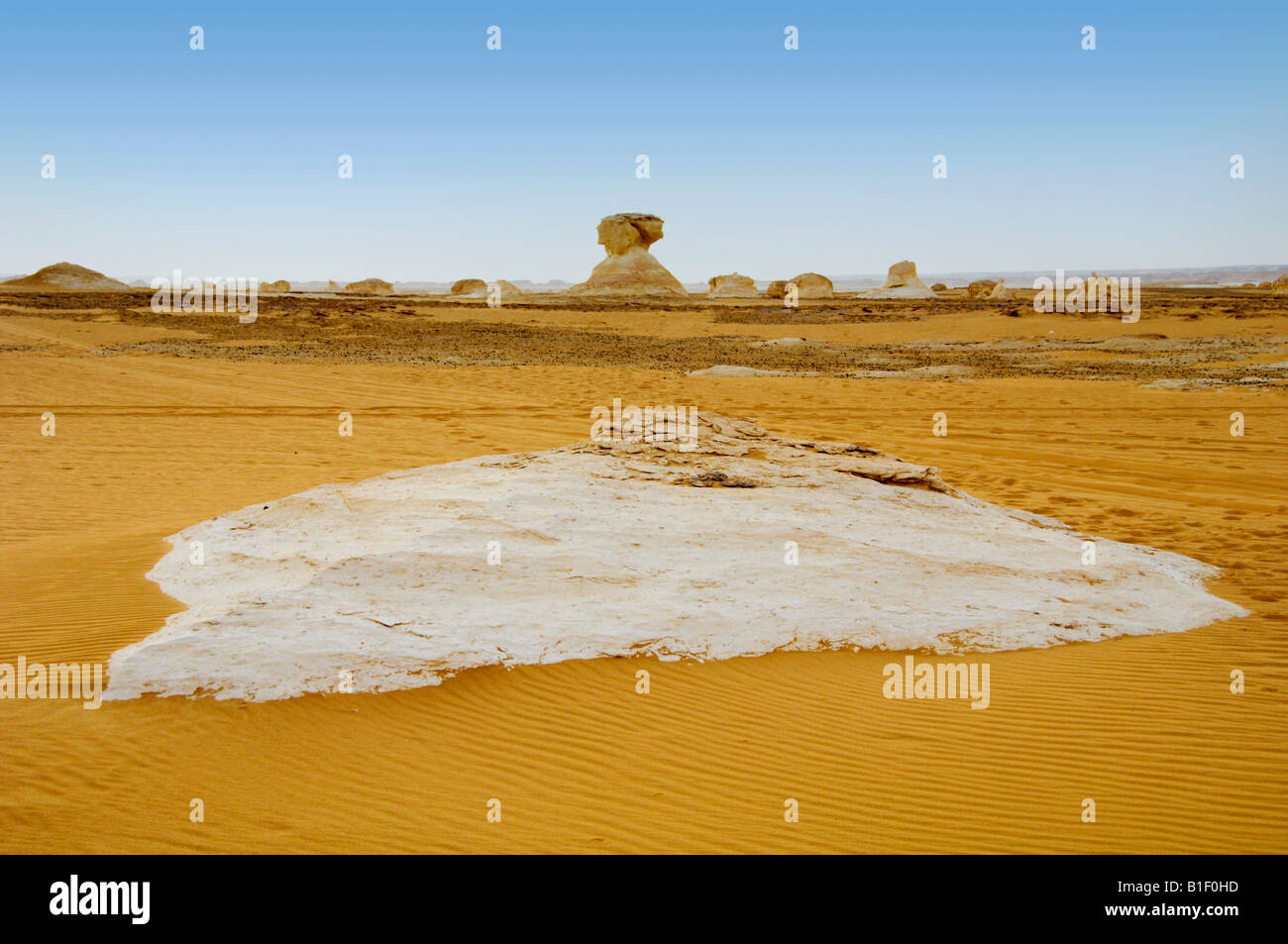 The gypsum formations and sand dunes in the White Desert Egypt Stock ...