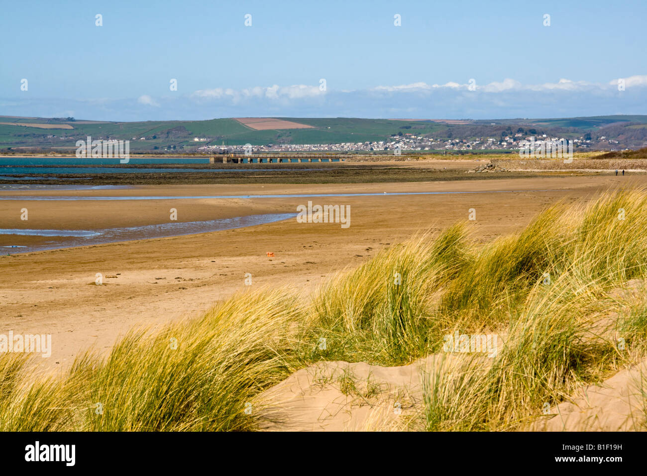 On sand dunes at Instow Devon UK Stock Photo - Alamy