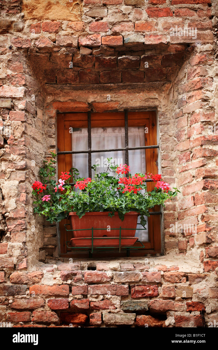A window box in San Gimignano, Tuscany, Italy Stock Photo - Alamy
