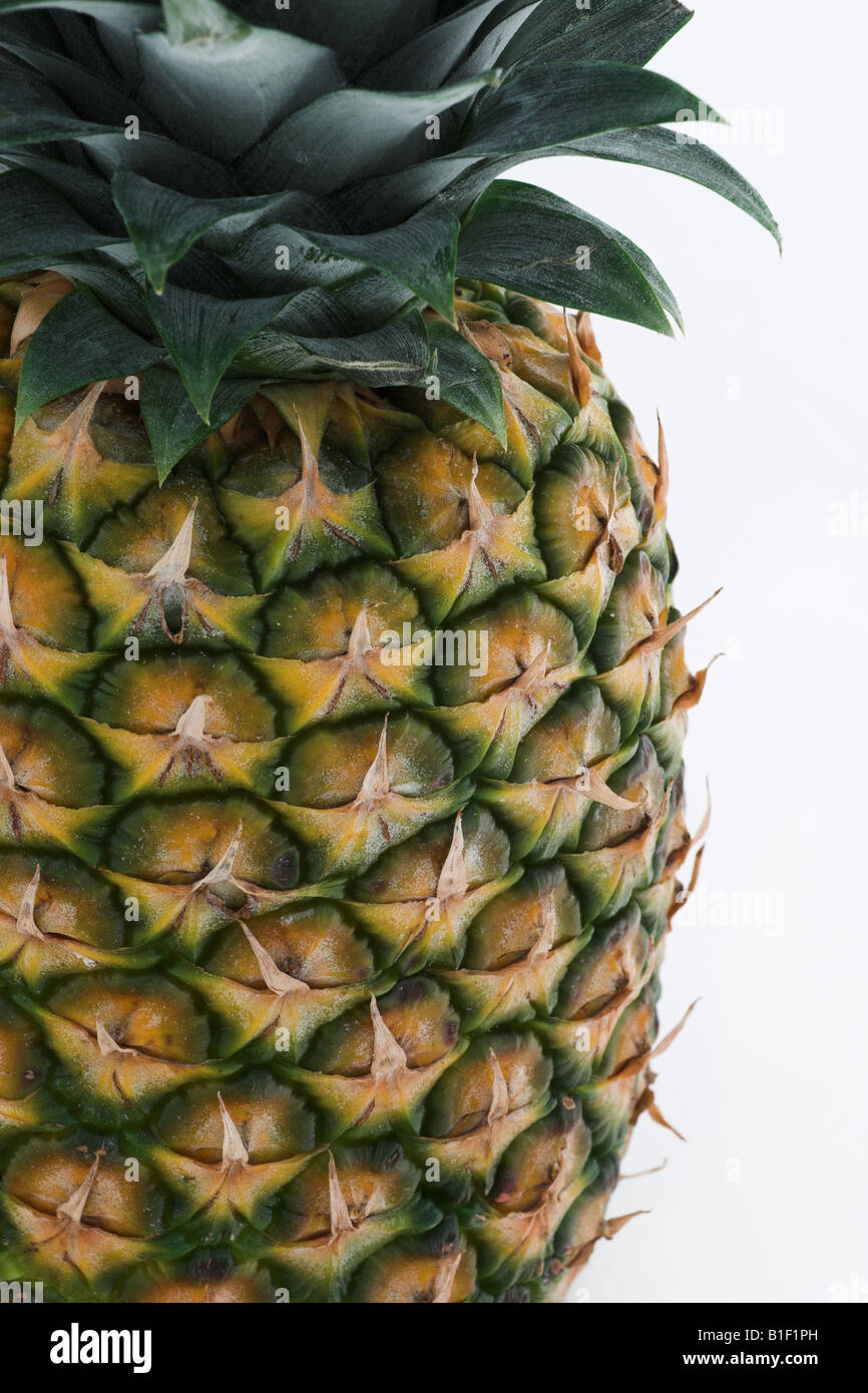 Pineapple close up against a white background Stock Photo - Alamy