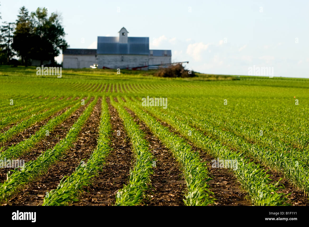 Ethanol plant hi-res stock photography and images - Alamy