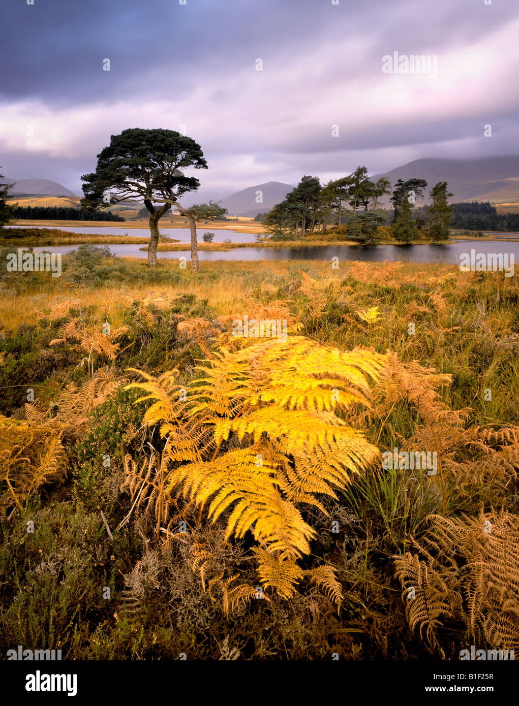 Autumn at Loch Tulla, Scottish Highlands. Scotland Stock Photo - Alamy