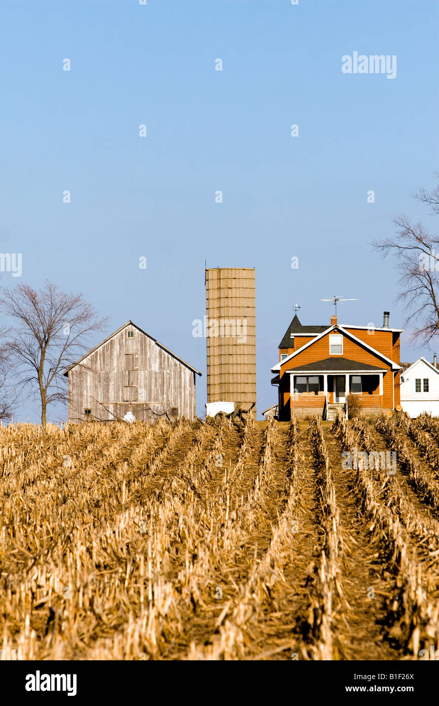 Barn With Corn Field Background