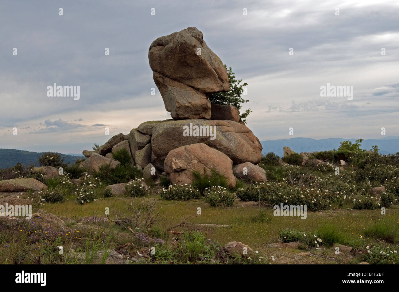 Cornut hi-res stock photography and images - Alamy