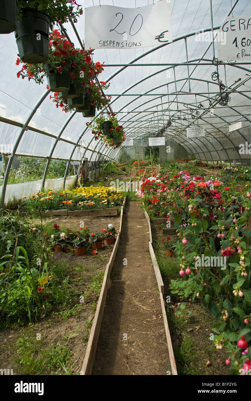Inside a polytunnel hi-res stock photography and images - Alamy