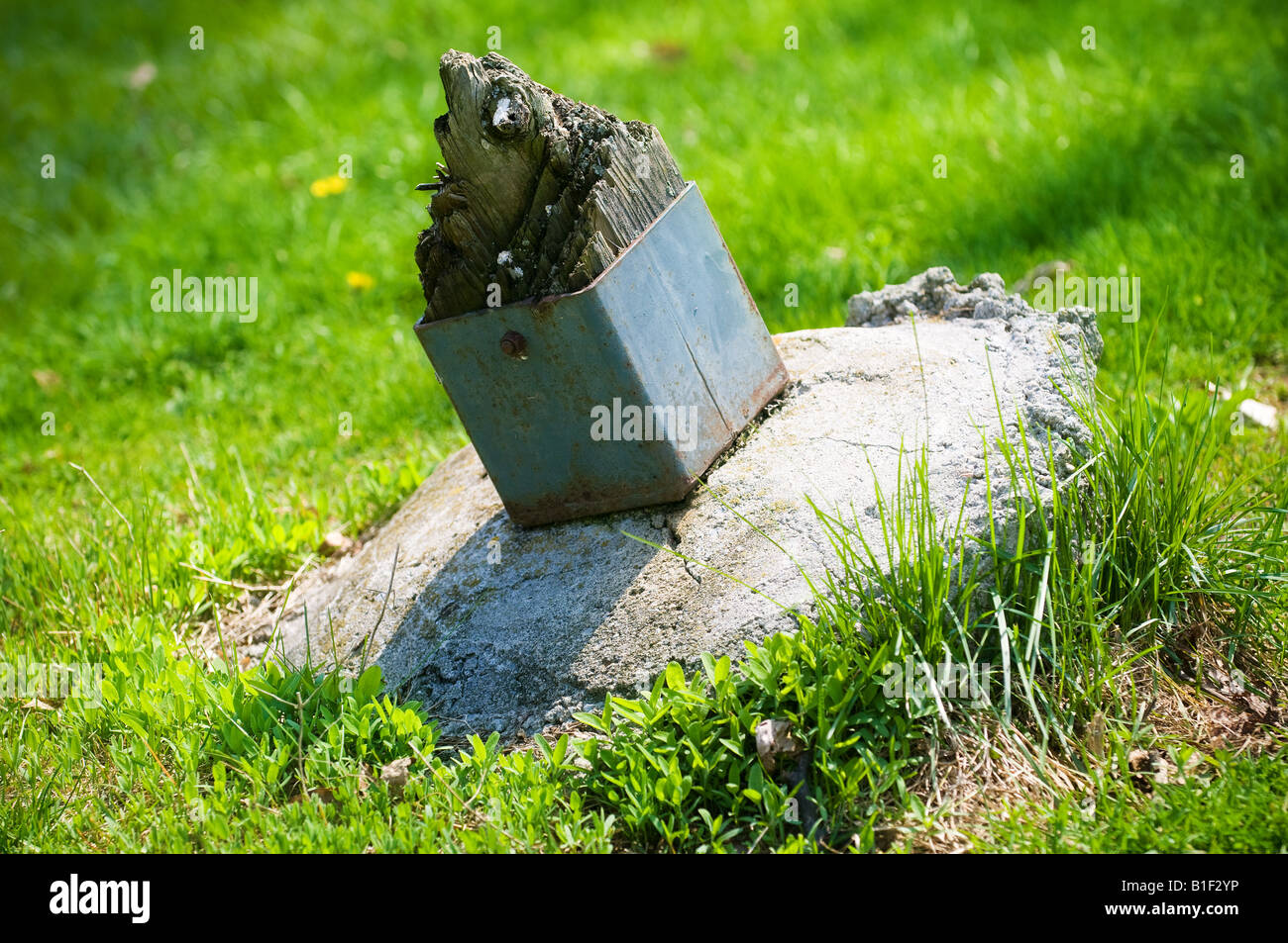 Stump foundation hi-res stock photography and images - Alamy