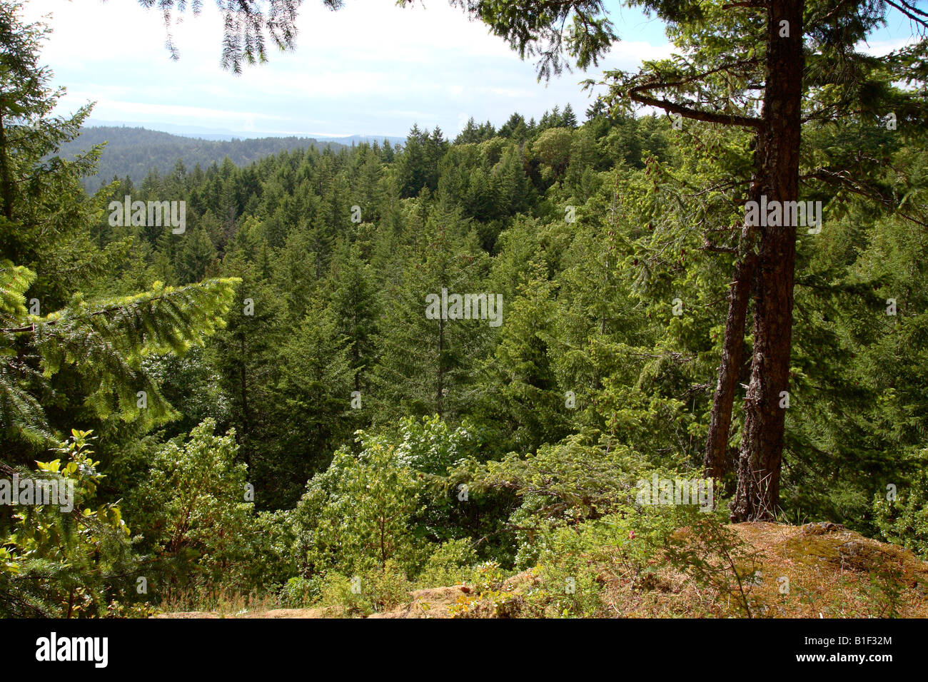 Mt Work provincial park Stock Photo - Alamy