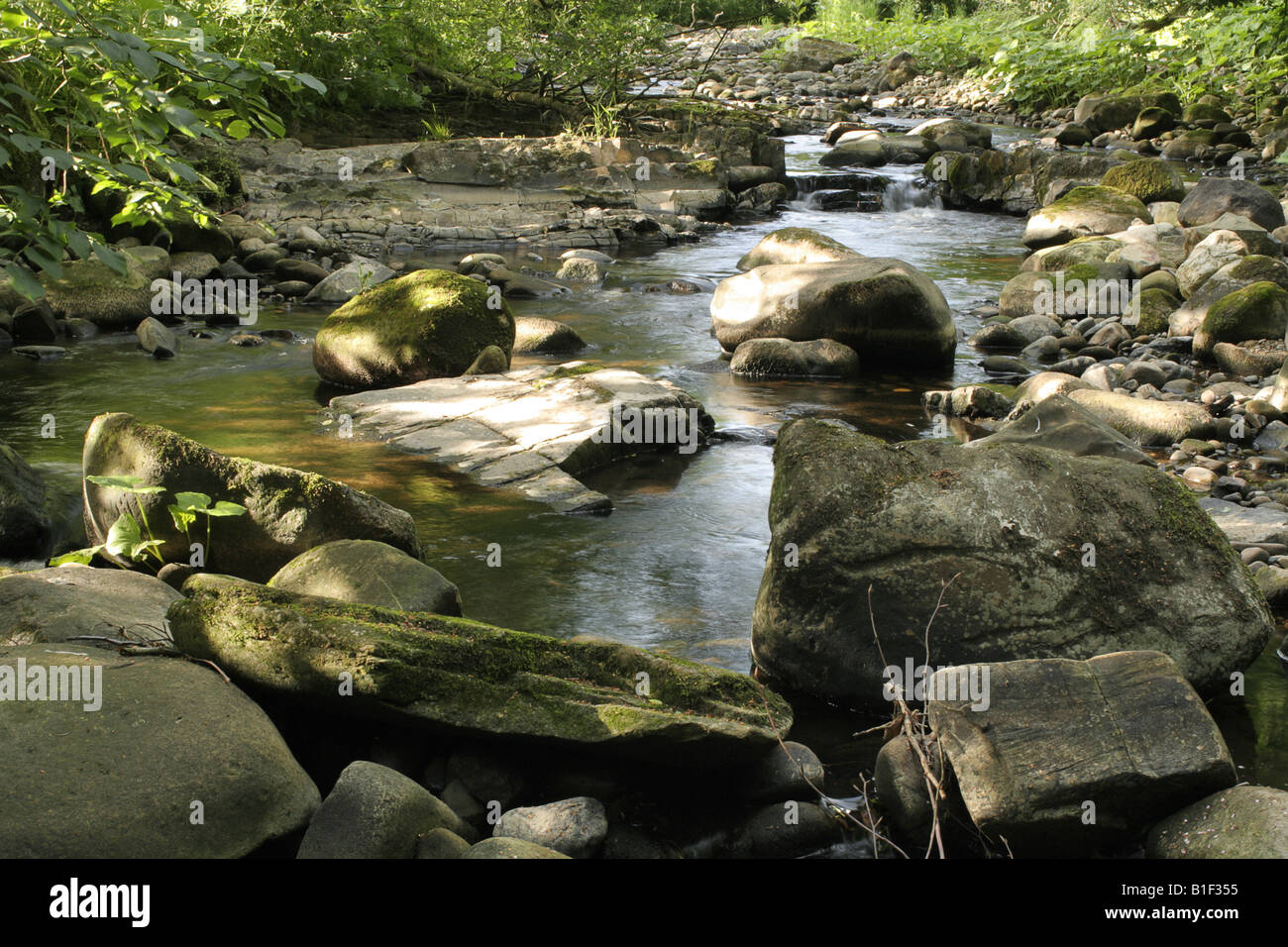 River Brock near Walmsley Bridge Stock Photo - Alamy