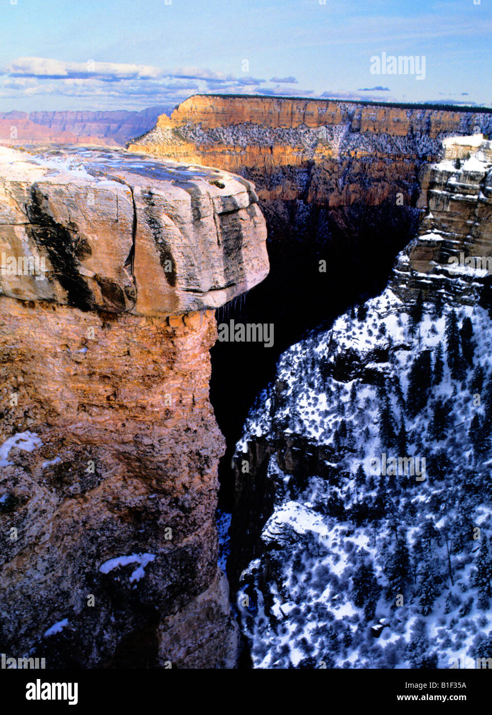 USA Arizona Grand Canyon National Park South Rim overlook deep ravine ...