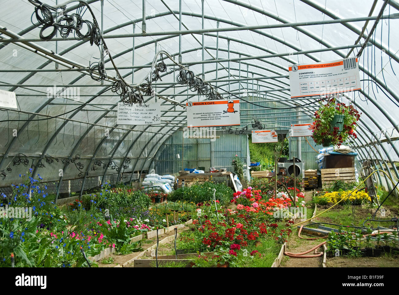 Stock photo of the inside of a commercial Polytunnel Stock Photo - Alamy