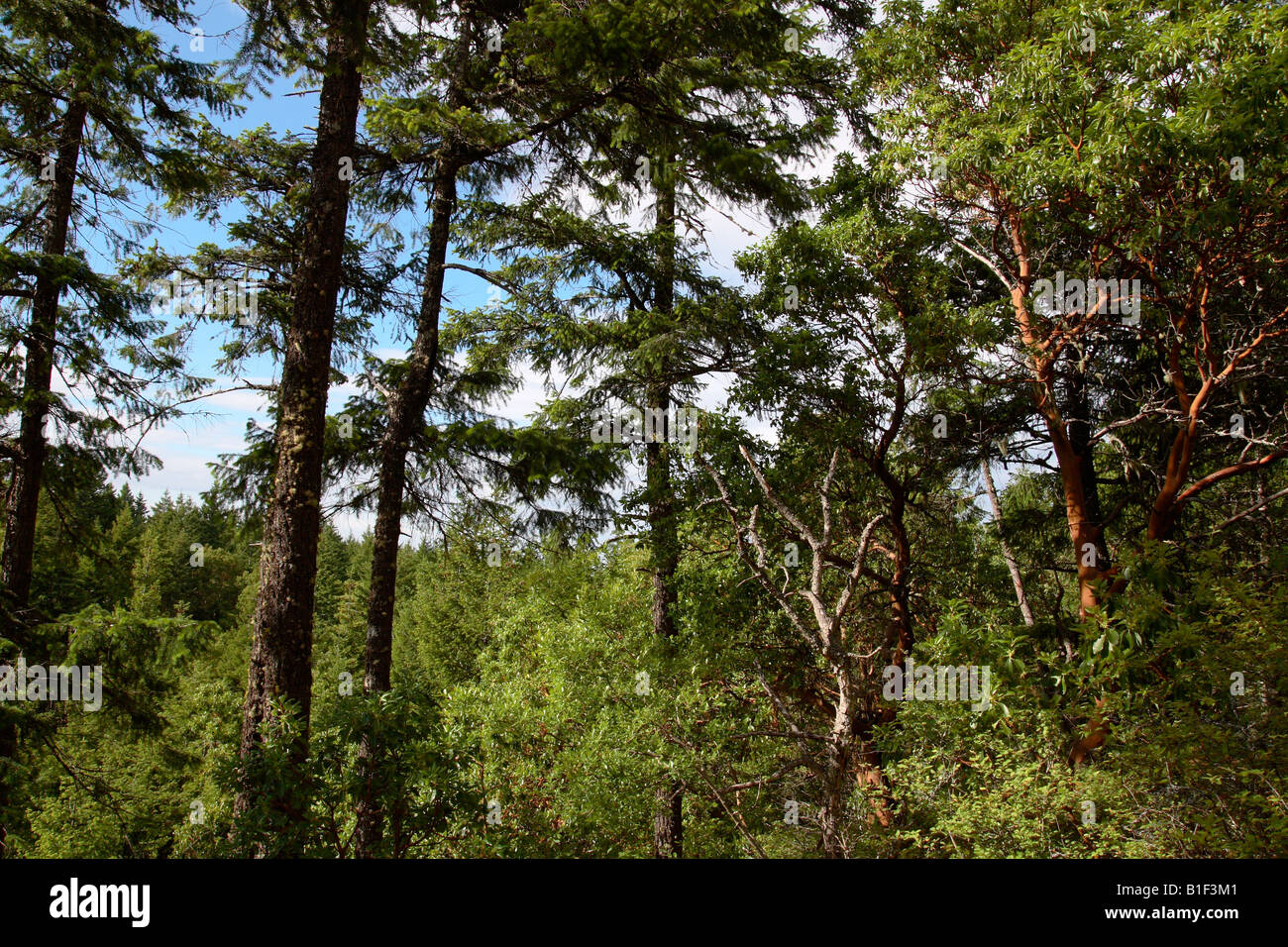 Mt Work provincial park Stock Photo - Alamy