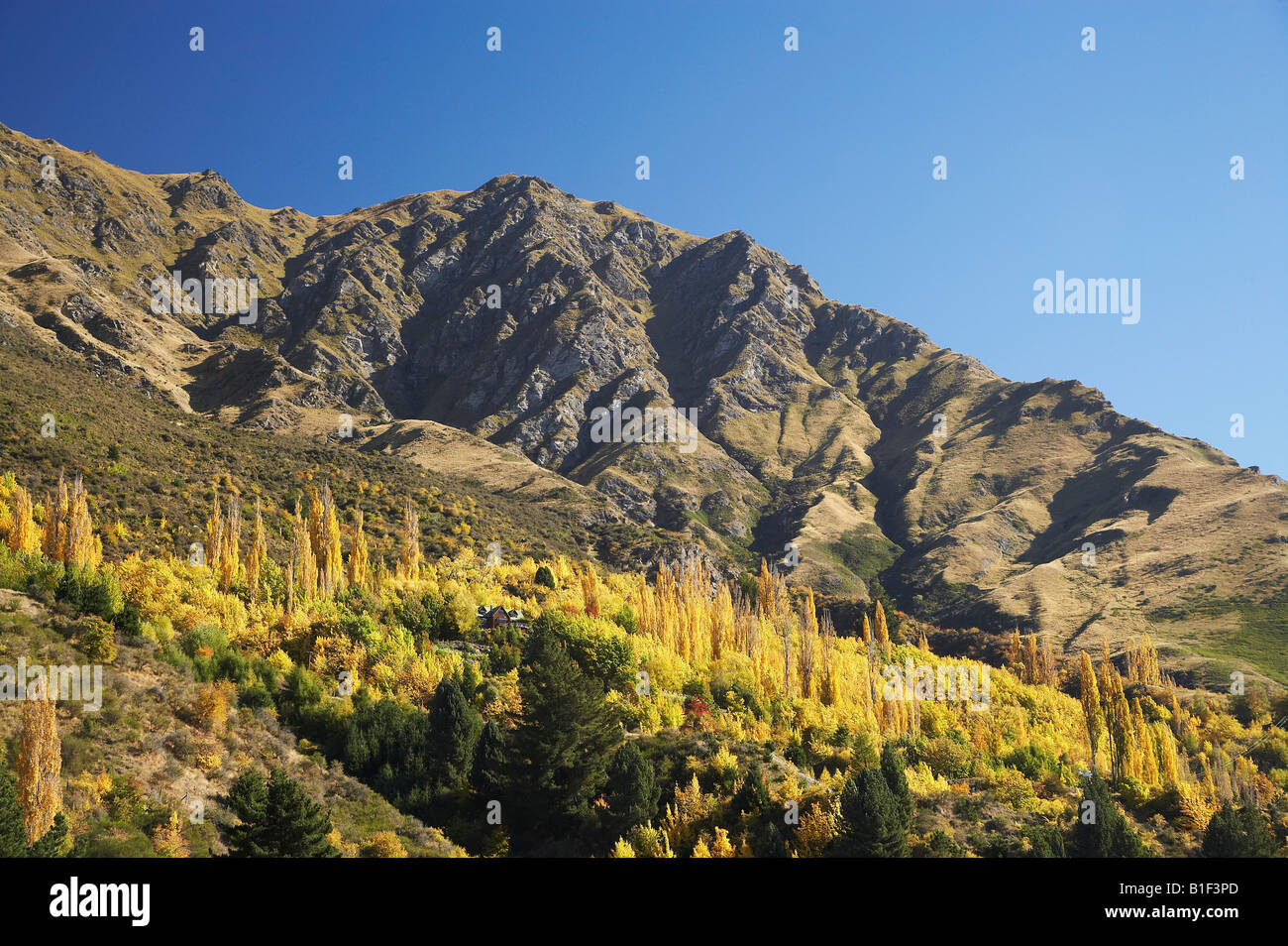 Arthurs point queenstown hi-res stock photography and images - Alamy