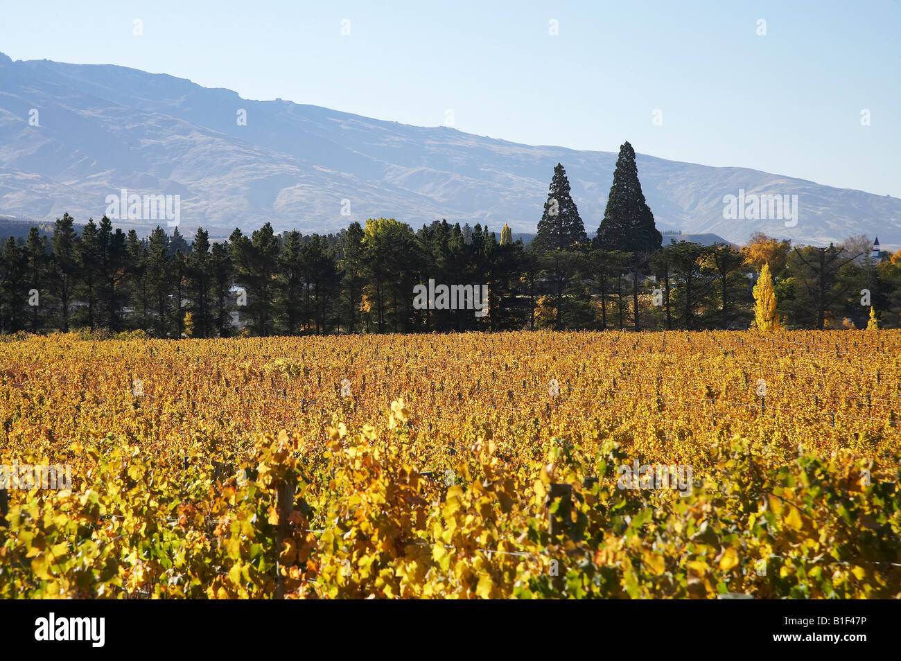 Cornish range hi-res stock photography and images - Alamy