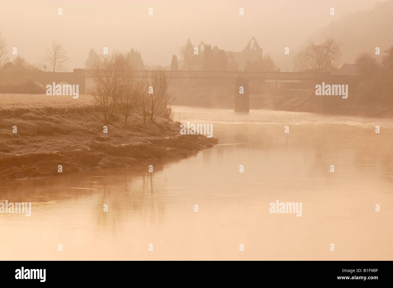 Tintern Abbey and River Wye at Dawn Stock Photo - Alamy