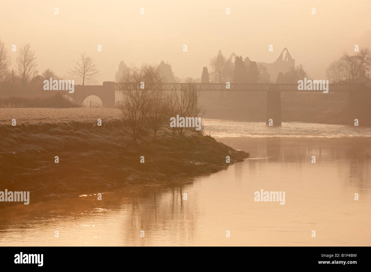 Tintern Abbey and River Wye at Dawn Stock Photo - Alamy