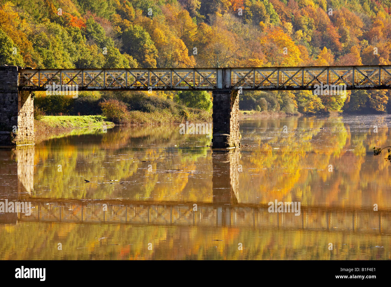 Old Tramway Bridge at Tintern Wye Valley Stock Photo - Alamy
