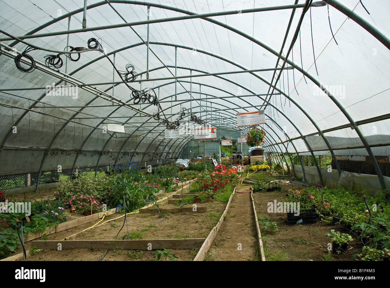 Stock photo of the inside of a commercial Polytunnel Stock Photo - Alamy