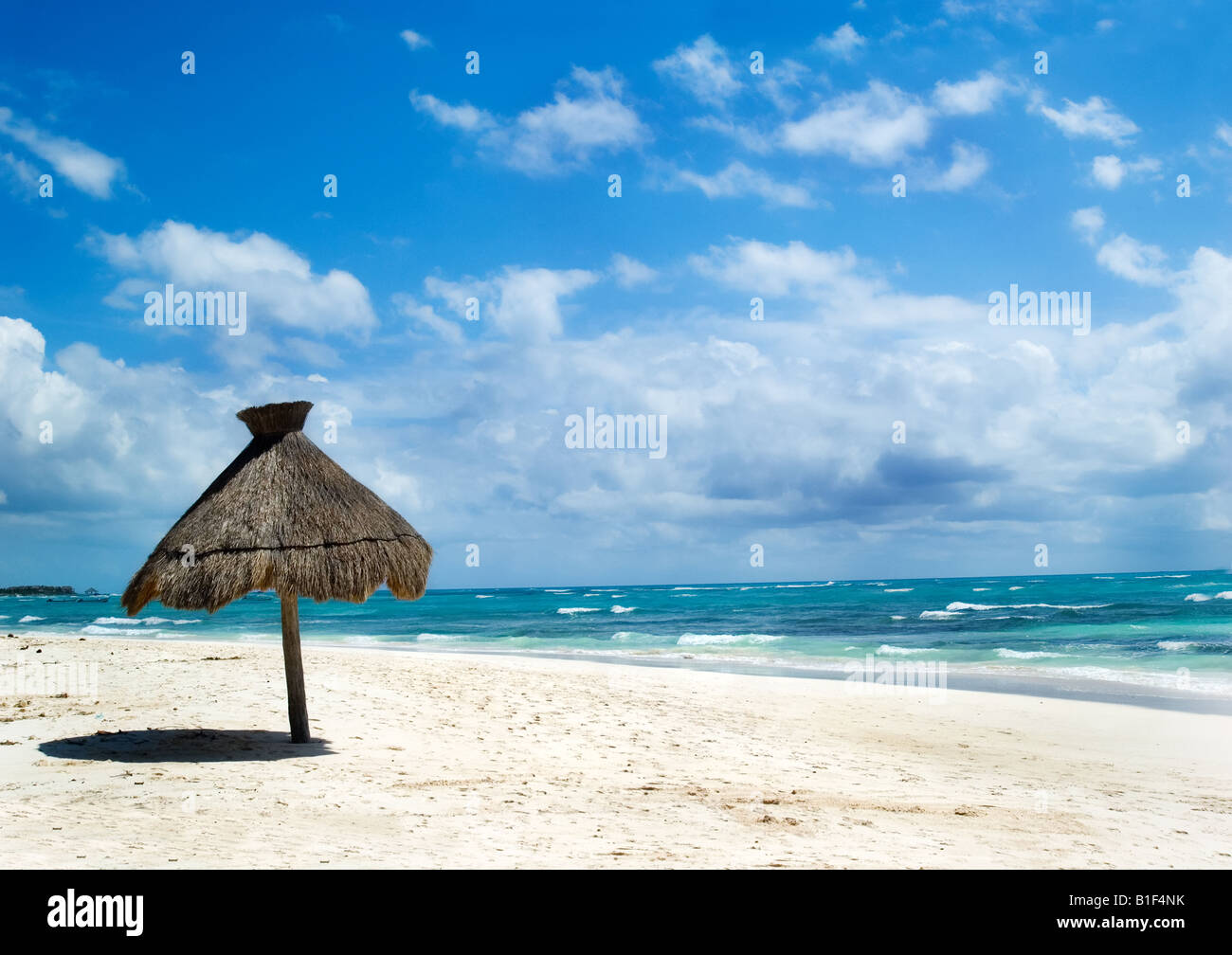 tropical beach at summer Mexico riviera maya Stock Photo - Alamy