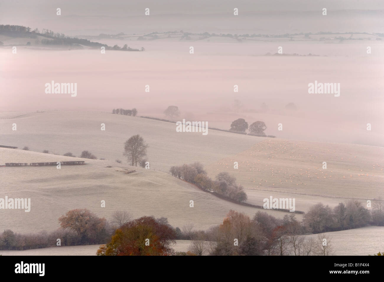 Cobblers Plain near Monmouth Stock Photo - Alamy