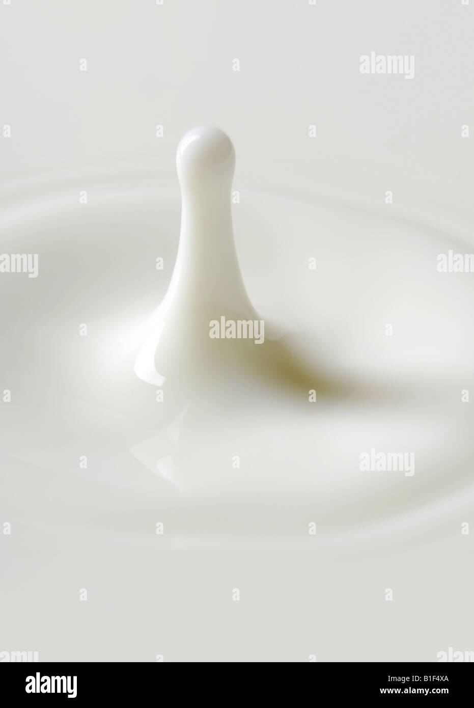 Milk Drop Splash High Resolution Stock Photography and Images - Alamy