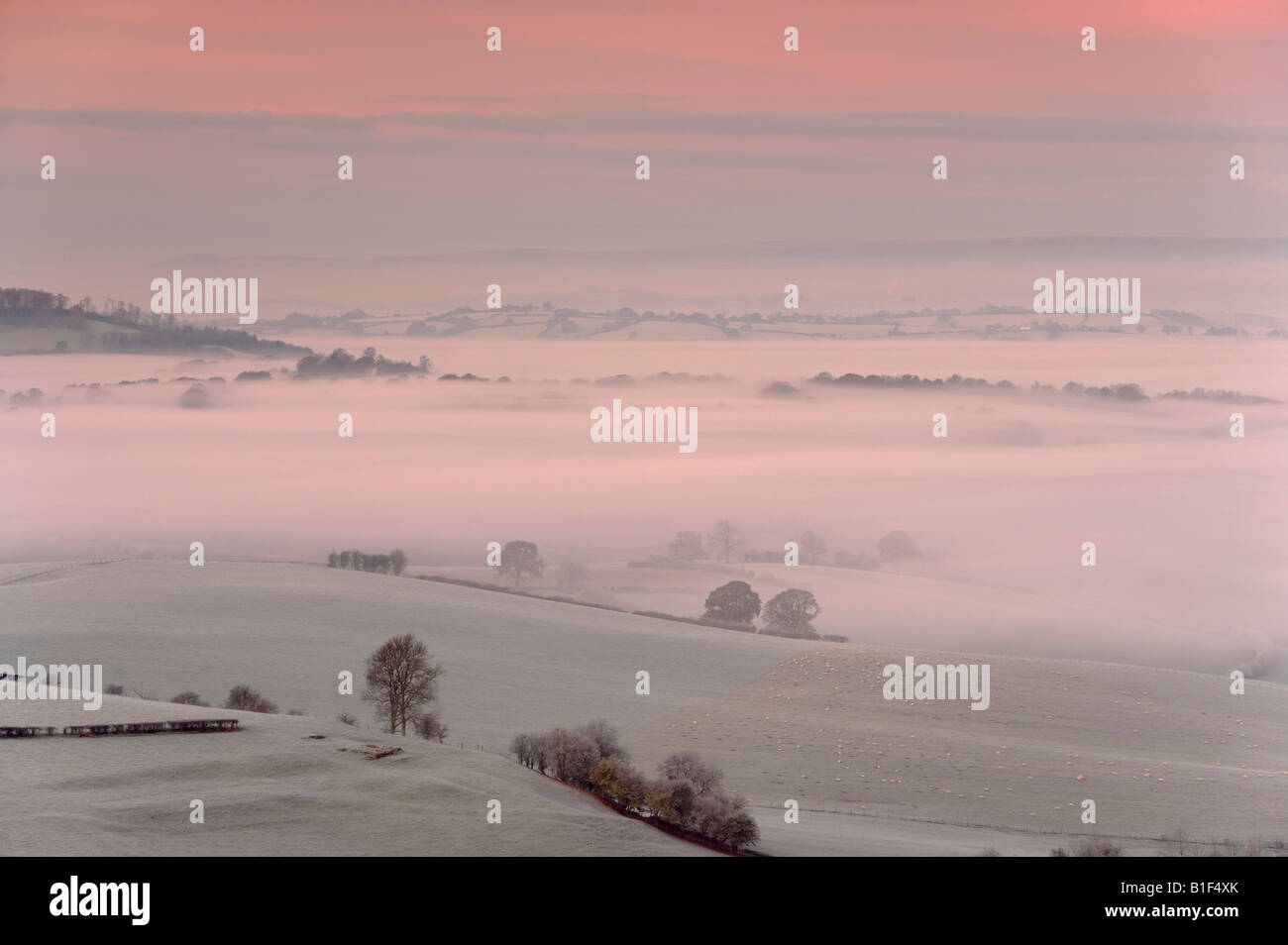 Cobblers Plain Near Wolvesnewton Llansoy Stock Photo - Alamy