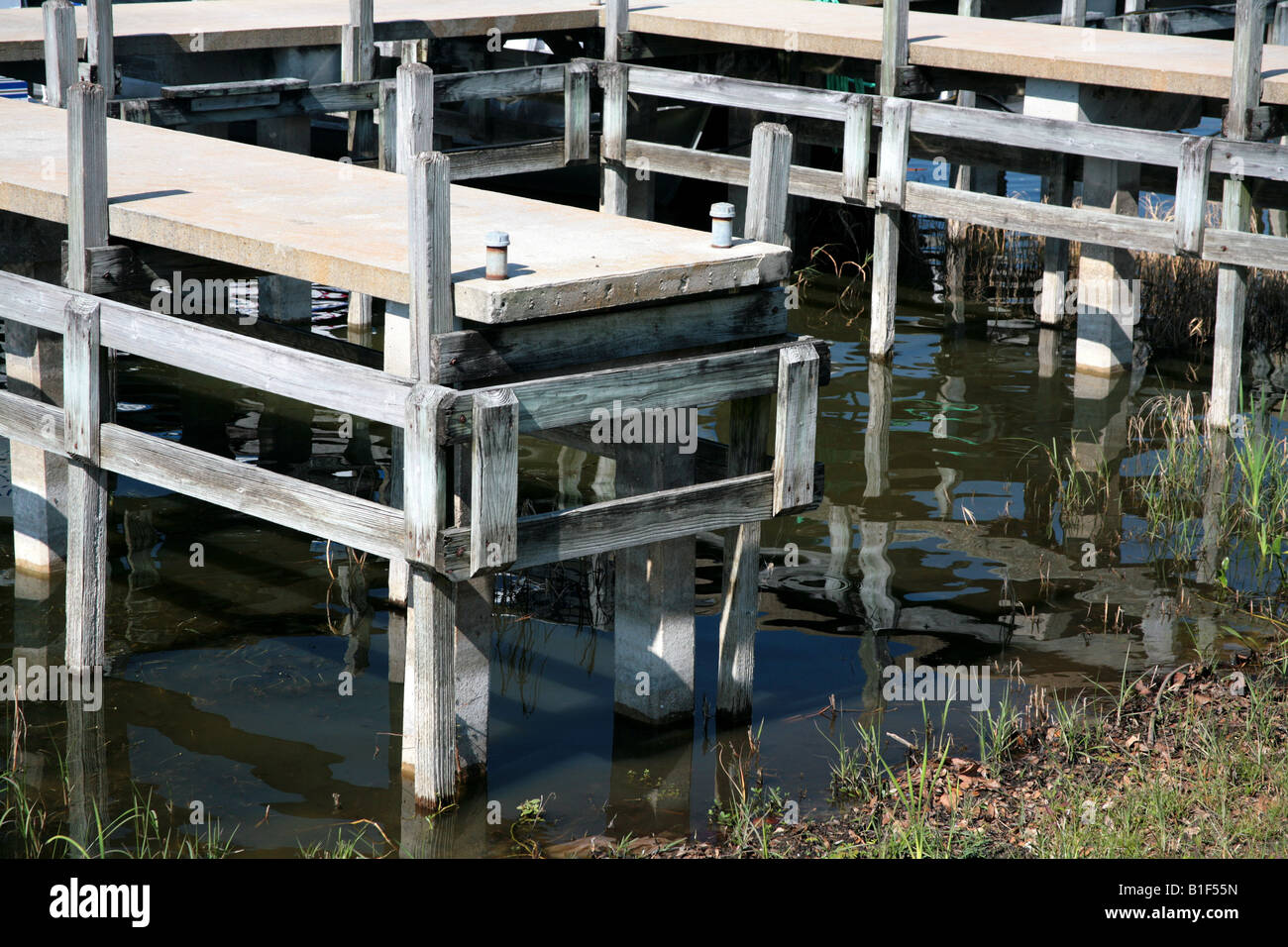 Docking station in Lake Dora where tourists take boats for scenic ...