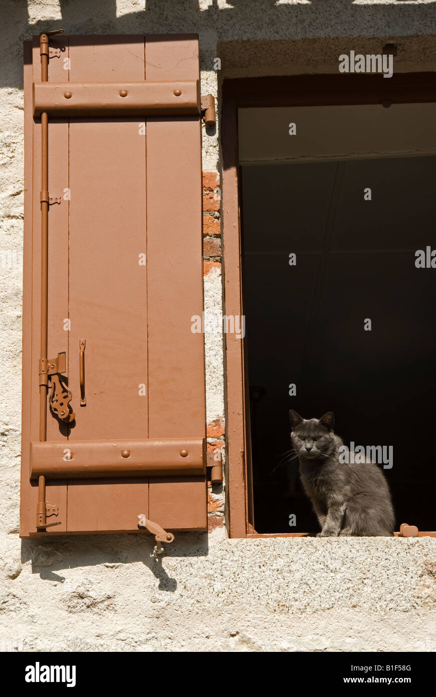 Stock photo of a cat sitting in an open shuttered window in a French ...