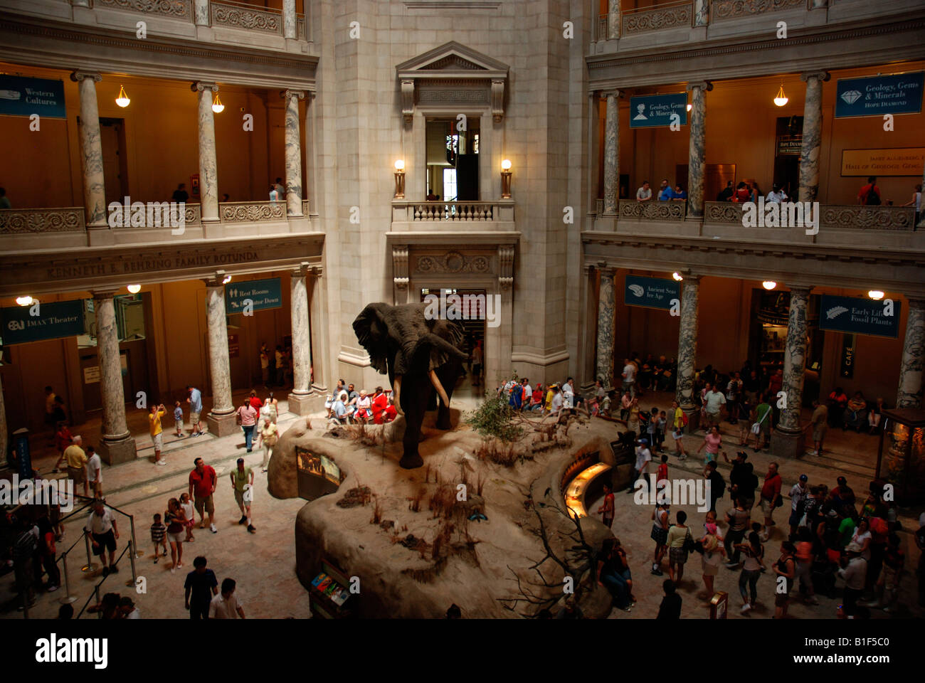 Lobby of American Natural History Museum Washington DC Stock Photo - Alamy
