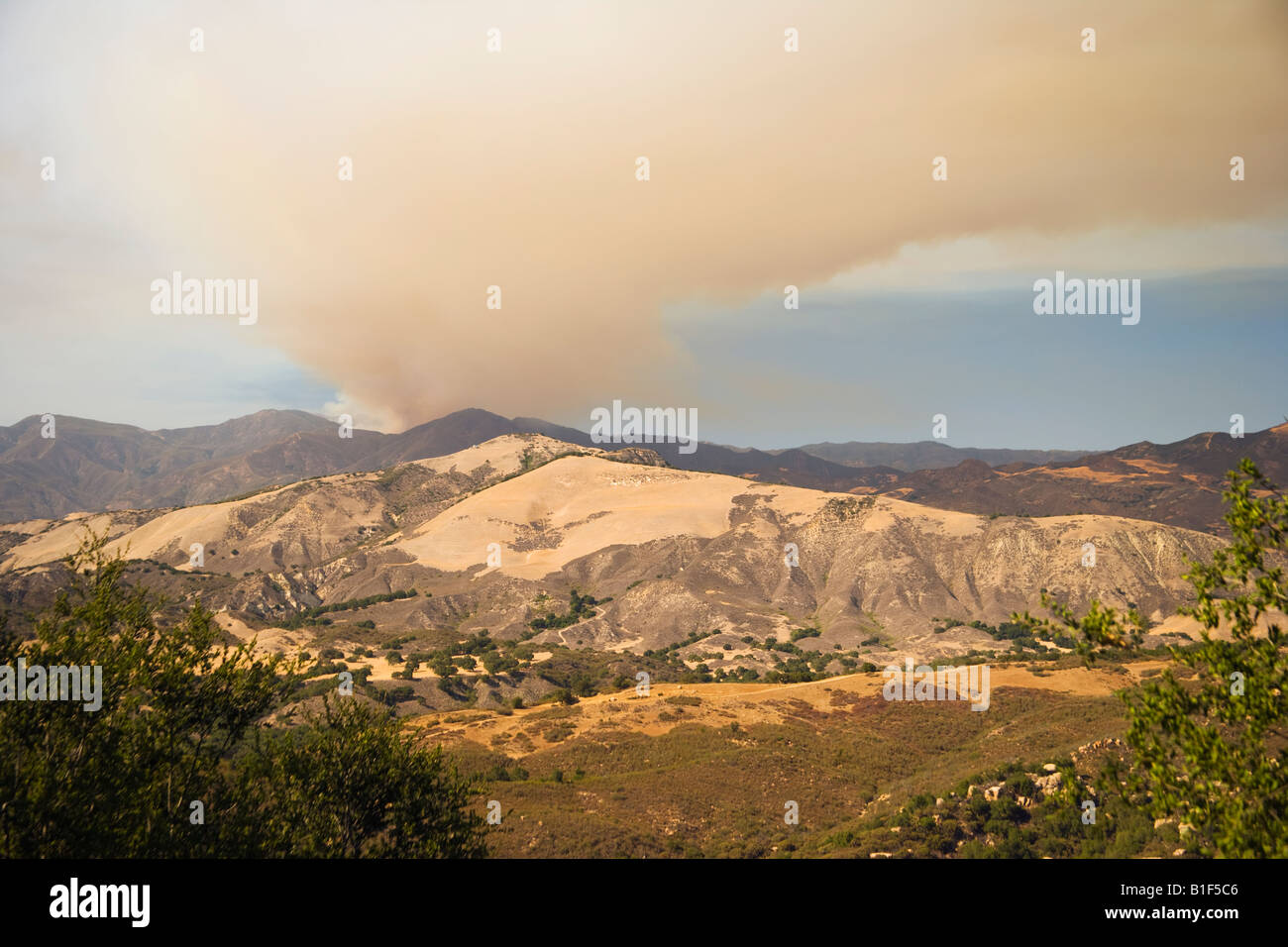 Zaca Fire in Los Padres National Forest California United States of ...
